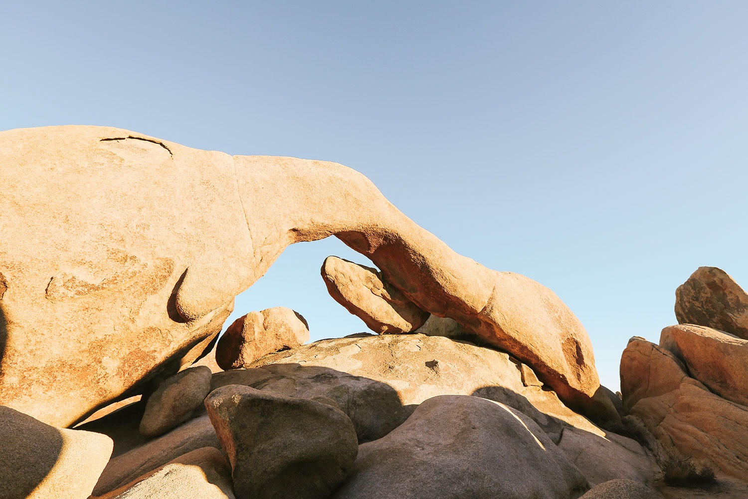 Field Guide: Arch Rock Trail in Joshua Tree National Park