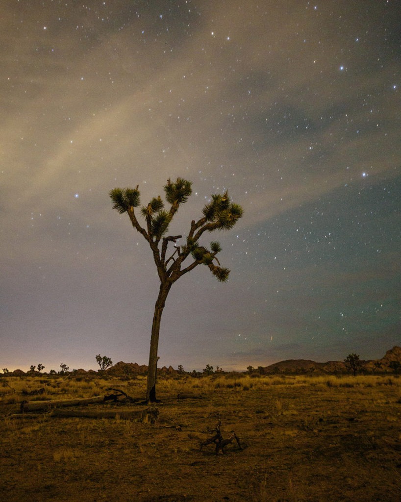 The Joshua Tree House - Joshua Tree, CA - Vacation Rentals