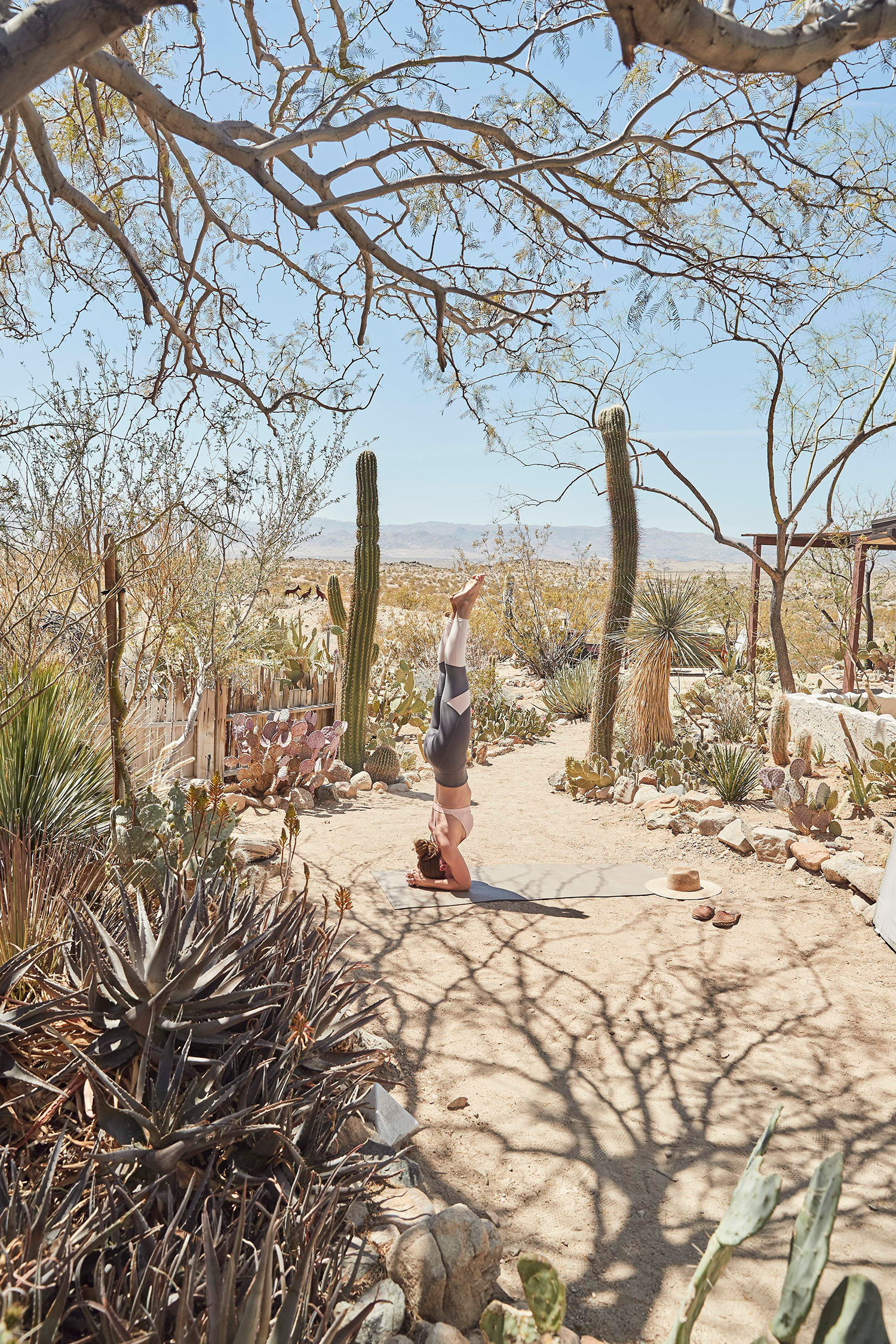 Yoga with Athleta in our cactus garden – The Joshua Tree House