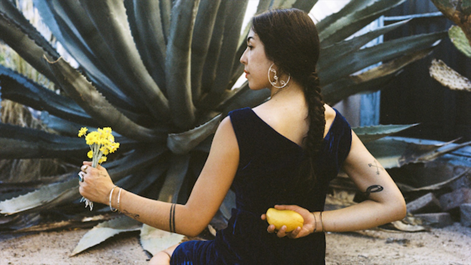 New Moon Spotify Playlist with June West – The Joshua Tree House