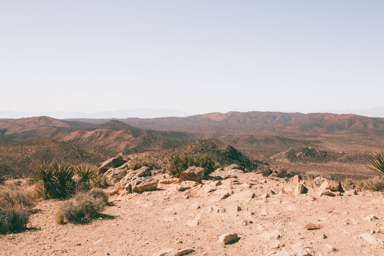 Field Guide: Ryan Mountain Trail in Joshua Tree National Park
