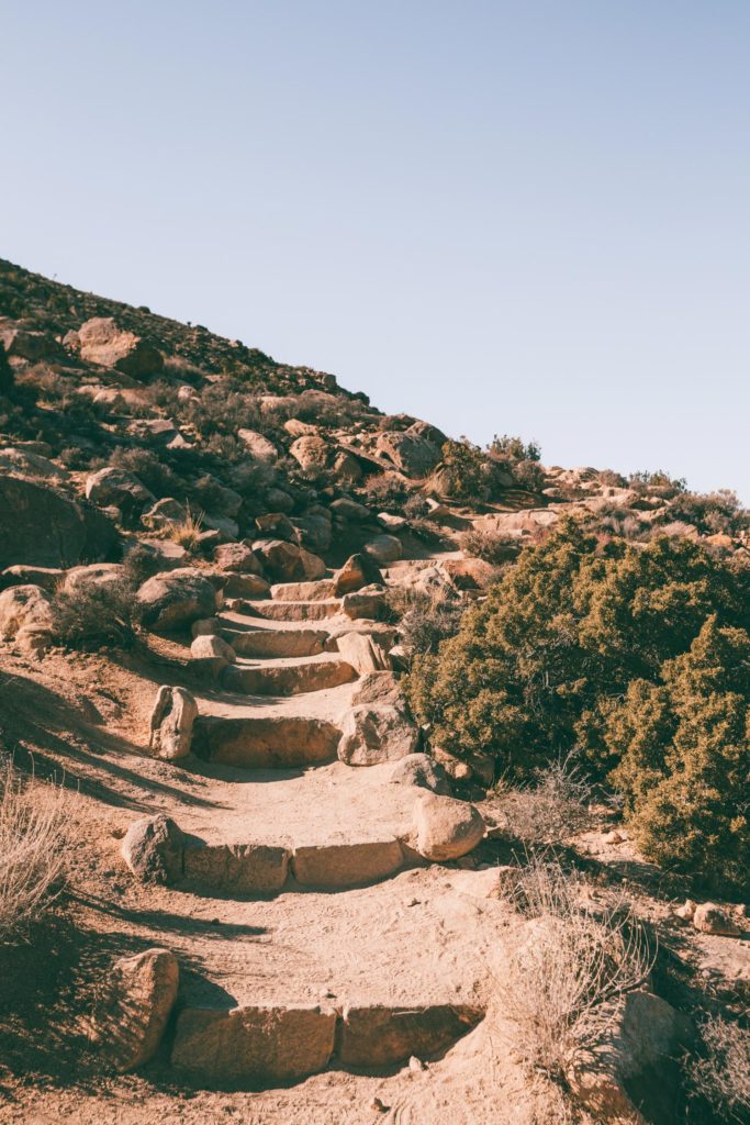 Field Guide: Ryan Mountain Trail in Joshua Tree National Park