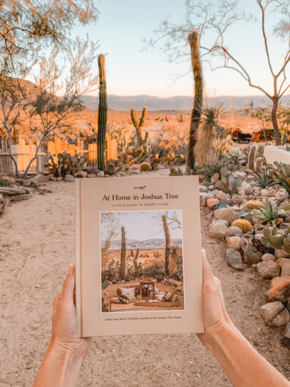 Our Book 'At Home in Joshua Tree' Releases October 23 – The Joshua Tree ...
