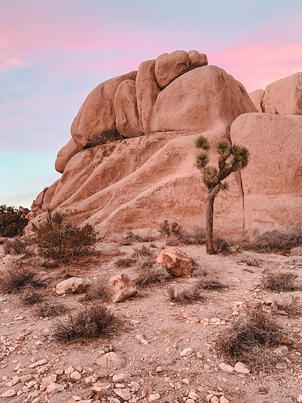 Split Rock Loop Trail in Joshua Tree National Park—Field Guide