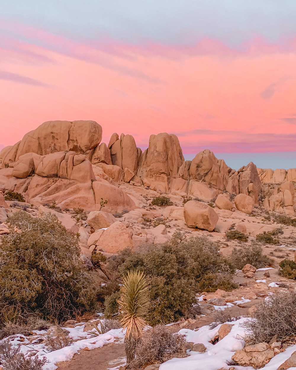 Split Rock Loop Trail in Joshua Tree National Park—Field Guide