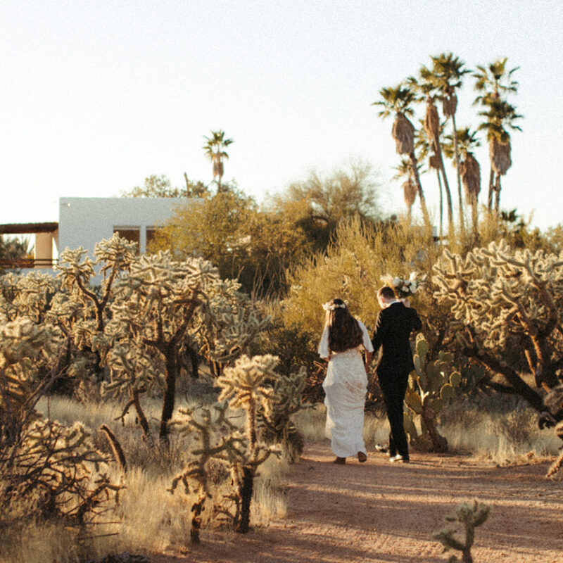 Field Guide: Willow Hole Trail in Joshua Tree National Park