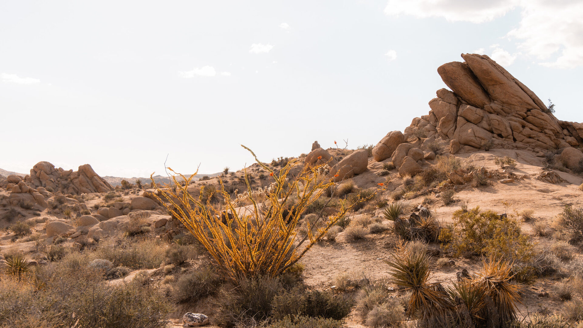 Mount Lemmon, Tucson, AZ