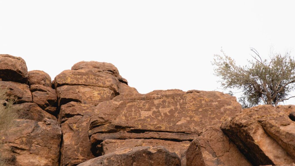 Picture Rocks Wash Loop Trail