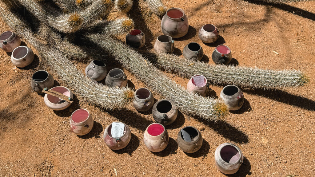 JTH Tucson Spirit Pot Mini Retreat Recap