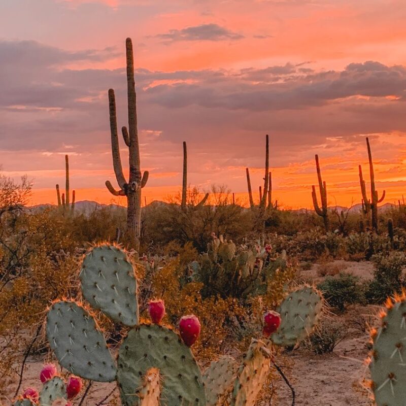 Nogales, Sonora Mexico (daytrip from Tucson, AZ)