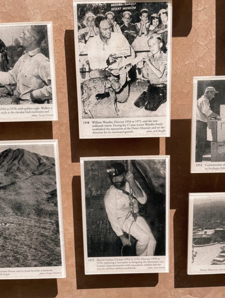 A Desert Canyon Pool