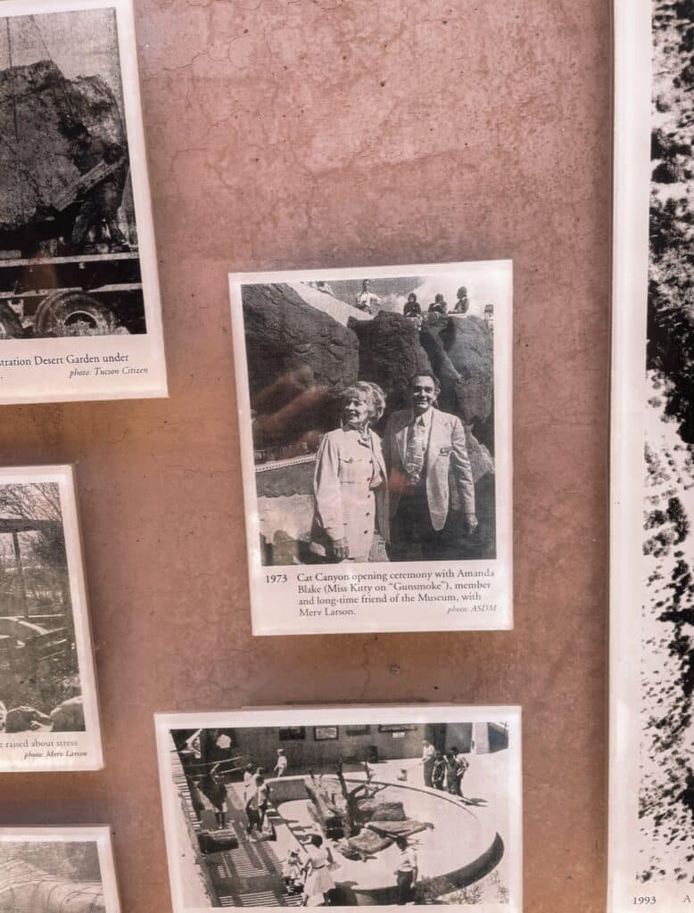 A Desert Canyon Pool