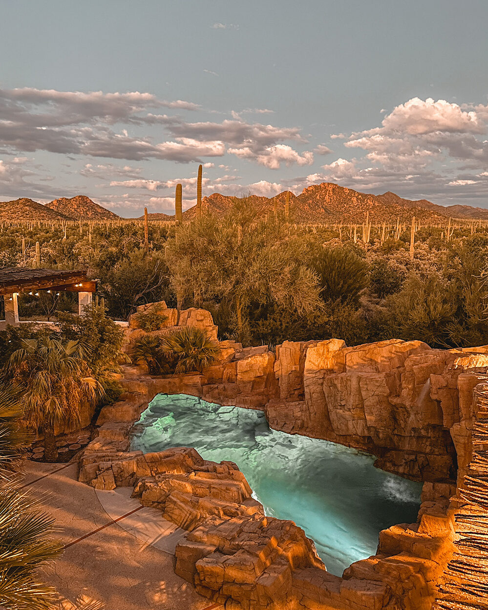Five Years of JTH Tucson – The Joshua Tree House